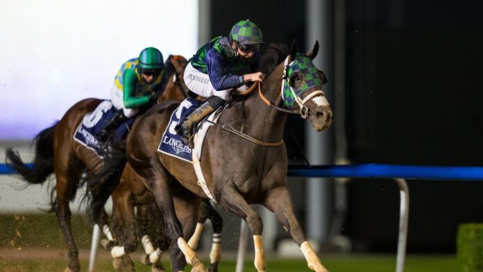 Dubai World Cup: Traditional Emirati stick dancers, after-race concerts ...